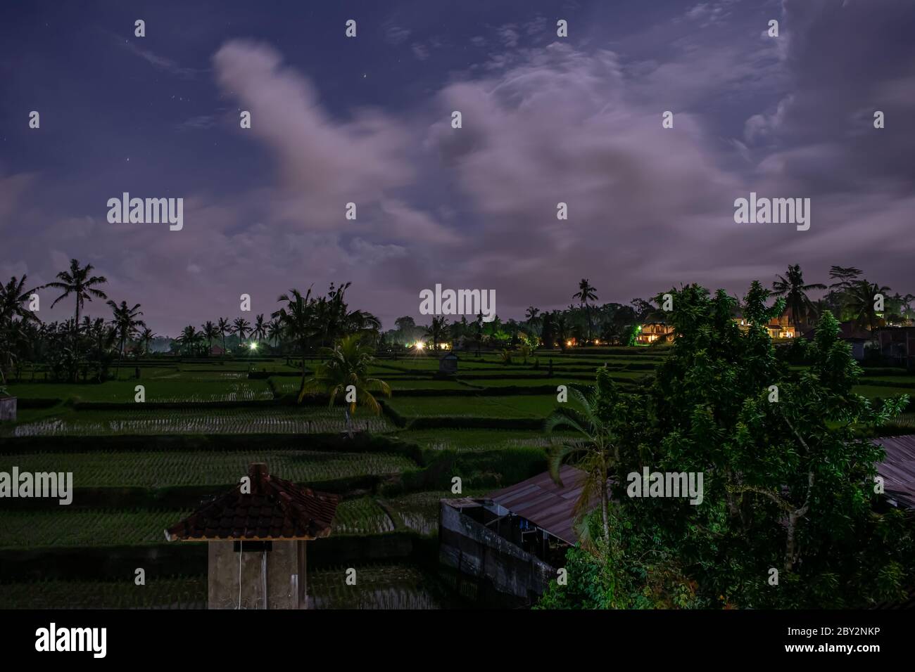 NIGHT SCENE FROM RICE FIELD IN UBUD, INDONESIA 2019 Stock Photo - Alamy