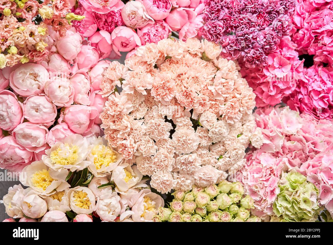 Floral carpet or Wallpaper. Background of mix of flowers. Beautiful ...