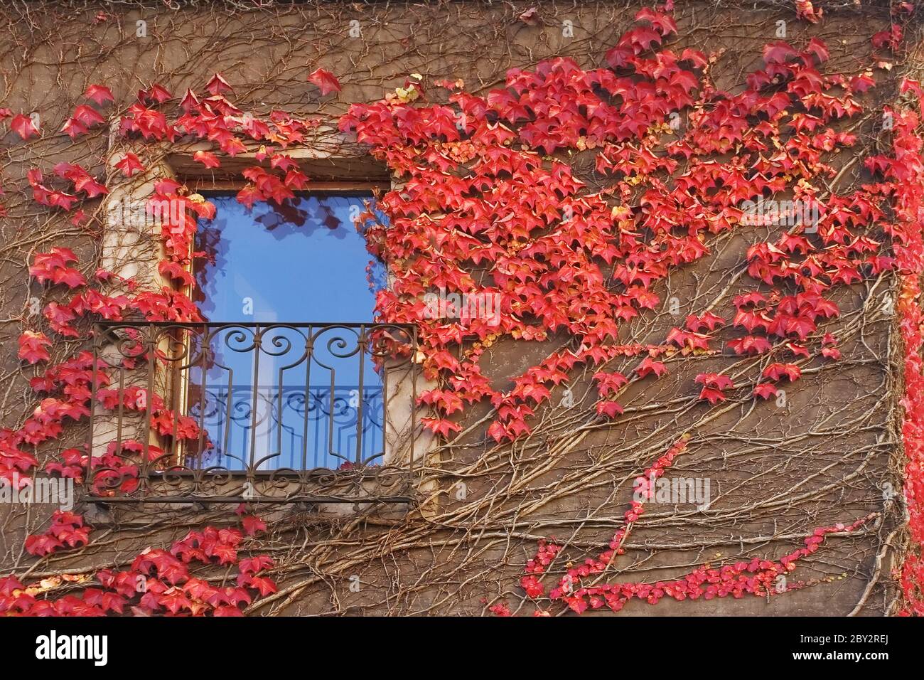 Red ivy cottage hi-res stock photography and images - Alamy