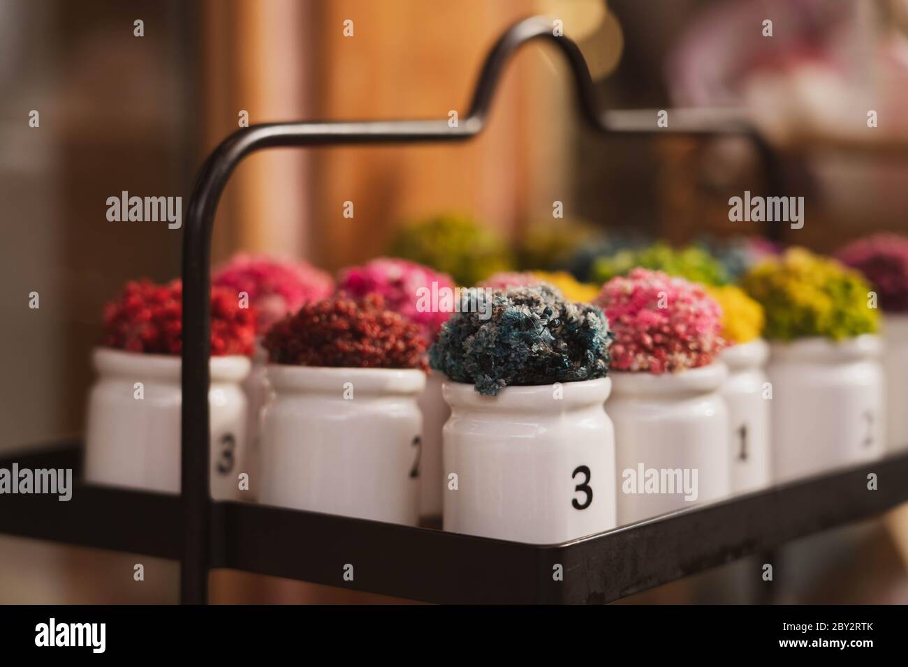 Creative valentine's gift, mini small colorful plant decorations on a ...