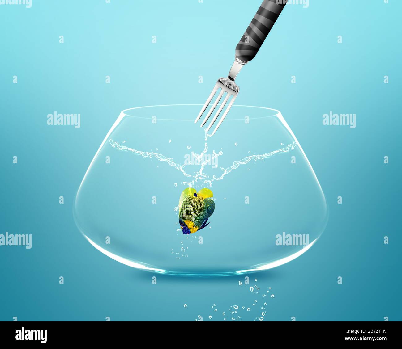Fork catch angelfish in fishbowl Stock Photo - Alamy