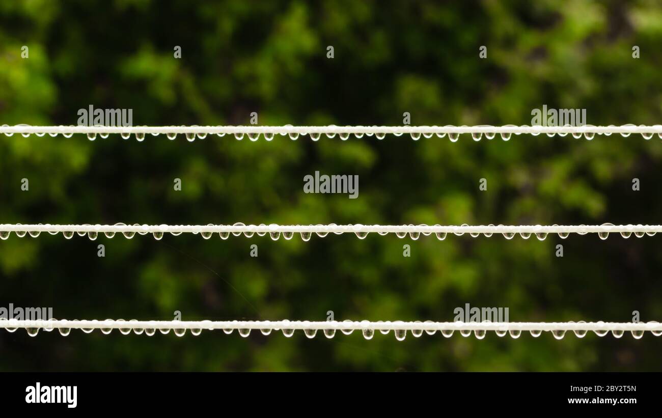 Strip rope for washing laundry with water drops after rain outdoor ...