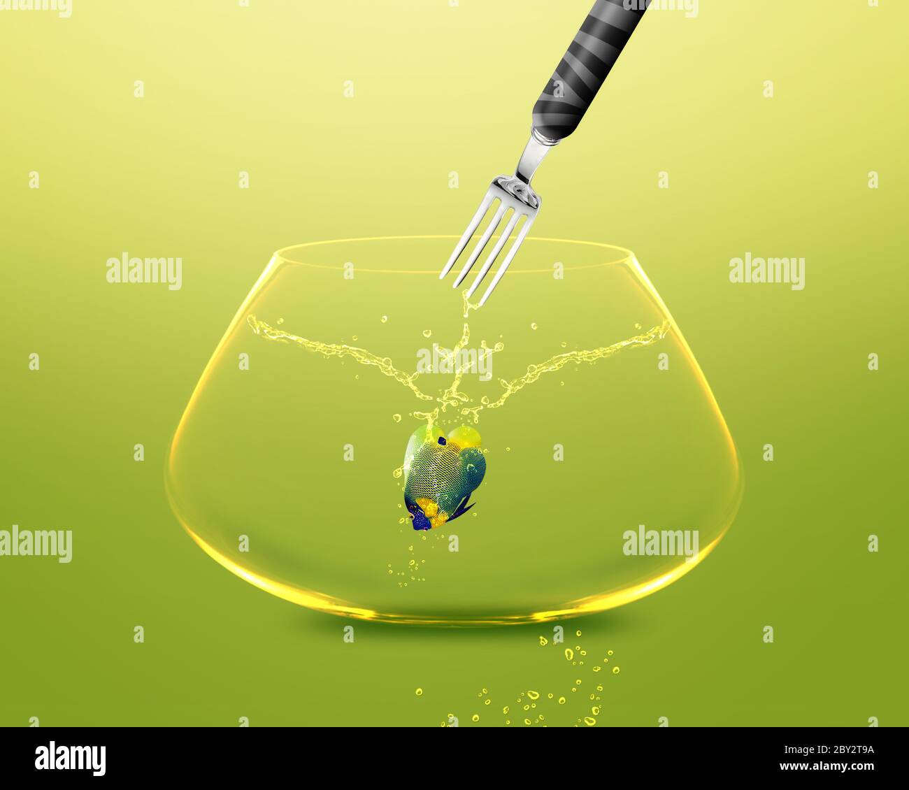 Fork catch angelfish in fishbowl Stock Photo - Alamy