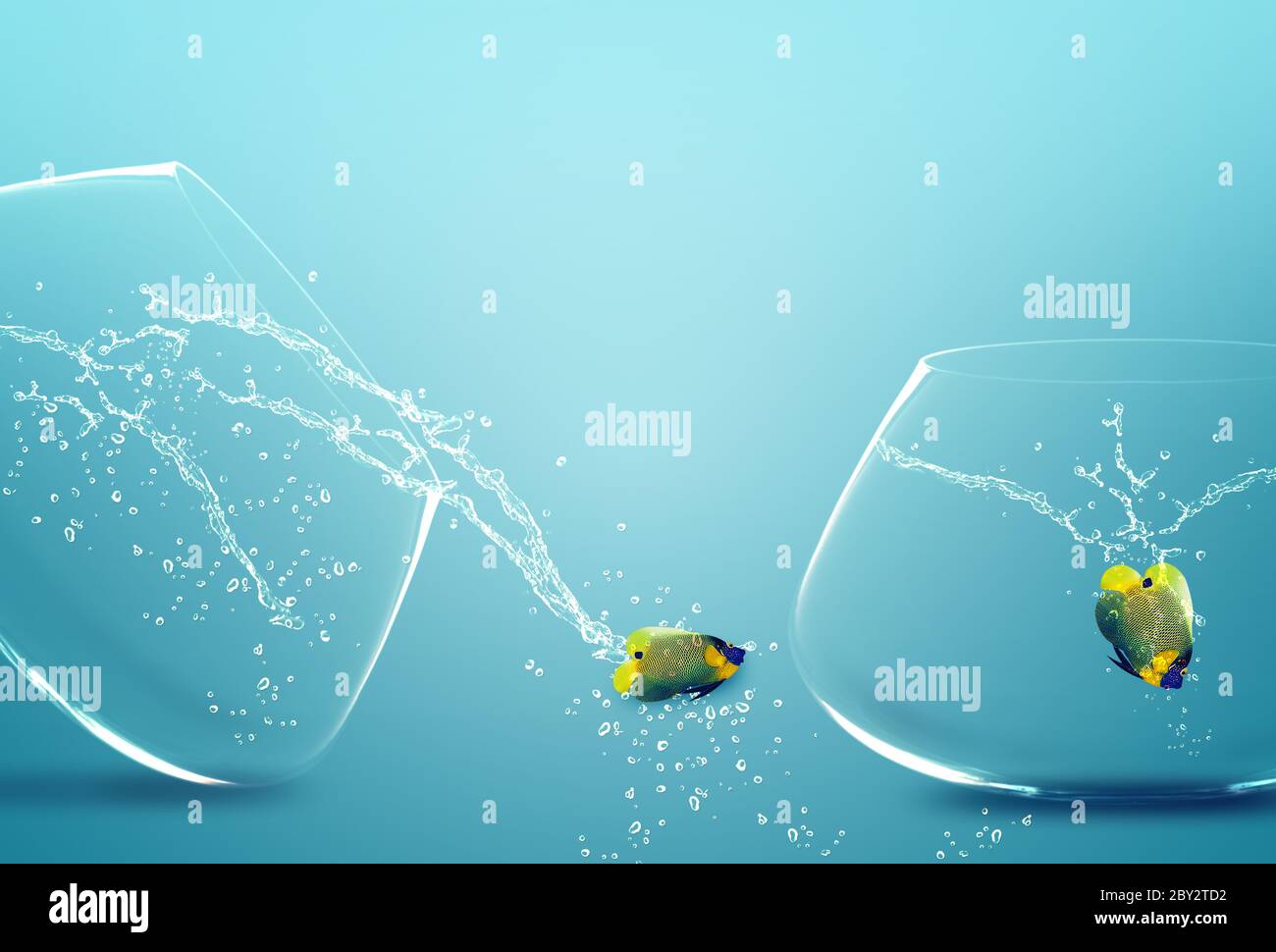 Fish jumping out of bowl hi-res stock photography and images - Alamy