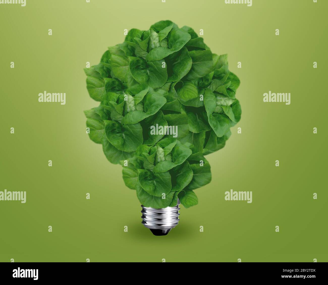 Green light bulb idea Stock Photo - Alamy