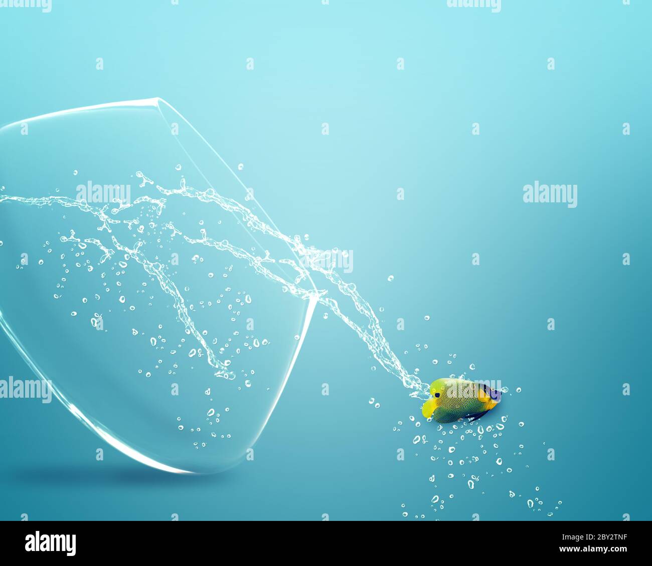 Fish jumping out of bowl hi-res stock photography and images - Alamy