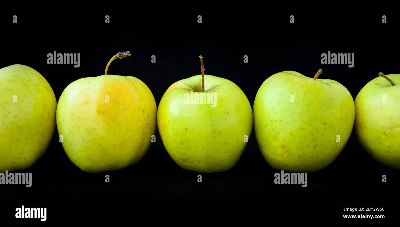 group of apples including granny smith, golden delicious and royal gala ...