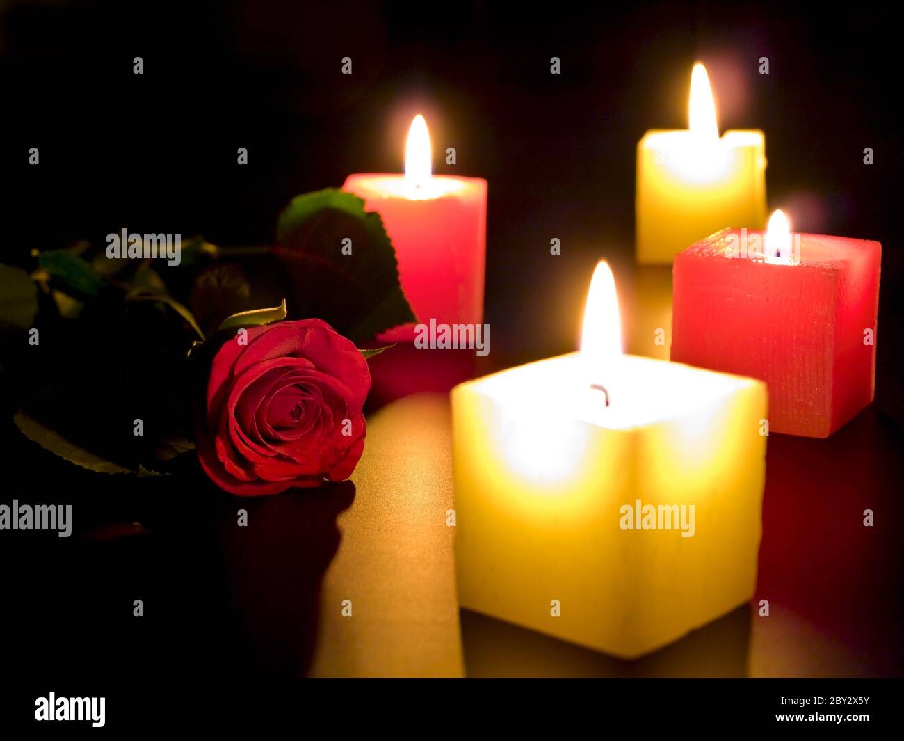 Rose night light hi-res stock photography and images - Alamy