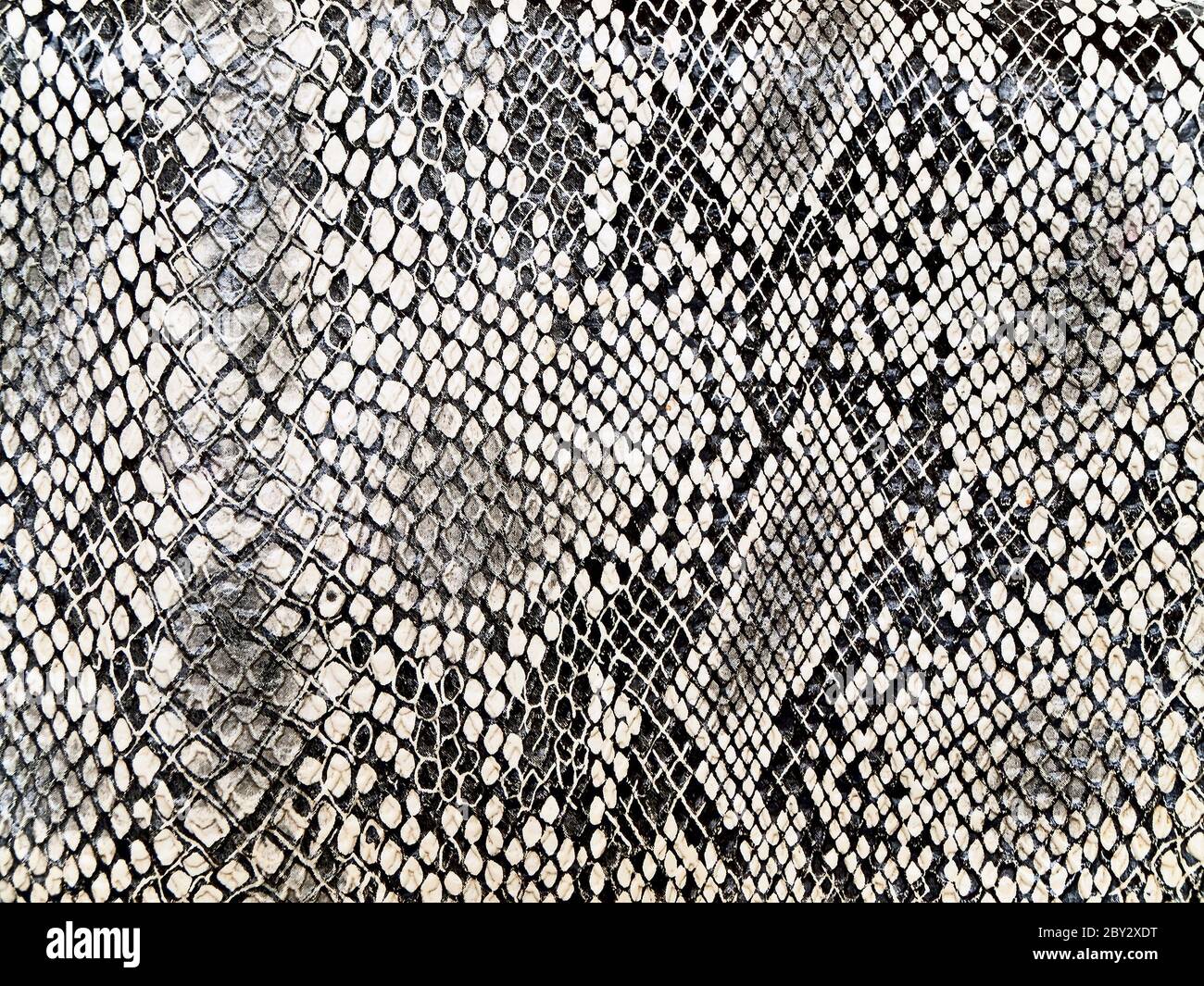 Snakeskin Pattern High Resolution Stock Photography and Images - Alamy
