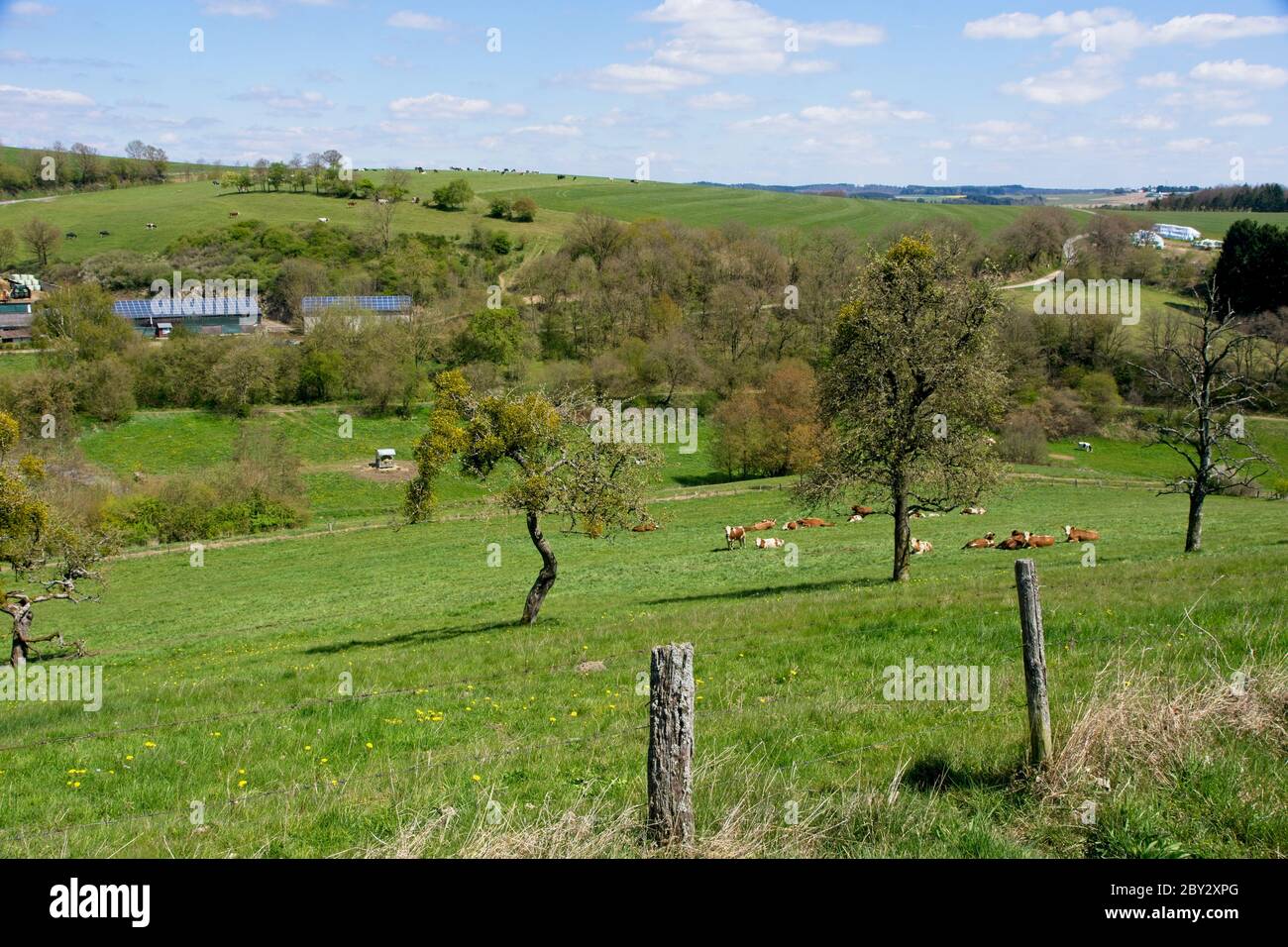 Countryside in the Volcanic Eifel or Vulkan Eifel mountains in Germany ...