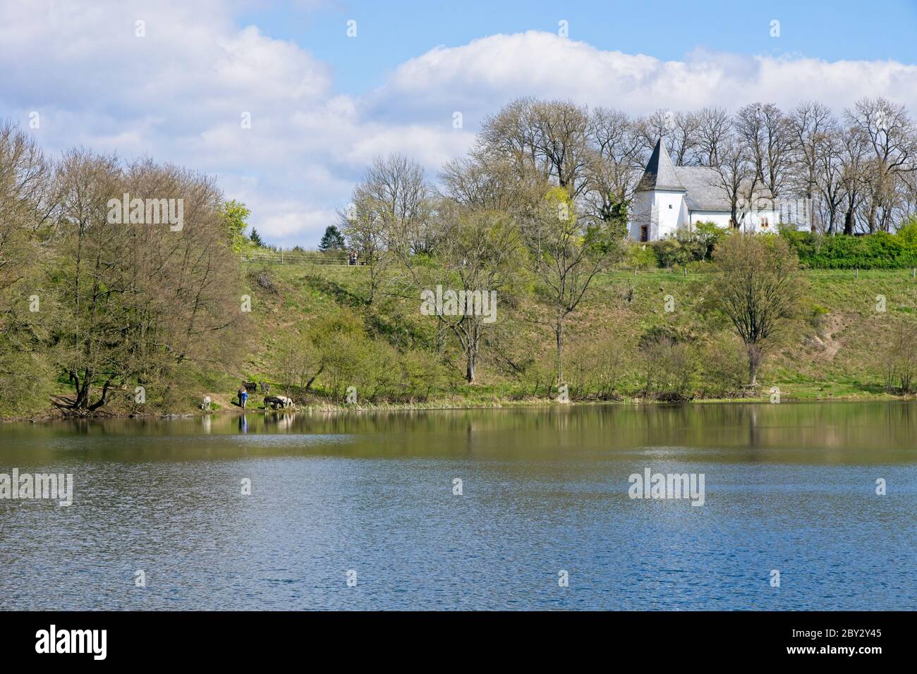 Lake (Immerather maar) in the Volcanic Eifel or Vulkan Eifel mountains ...