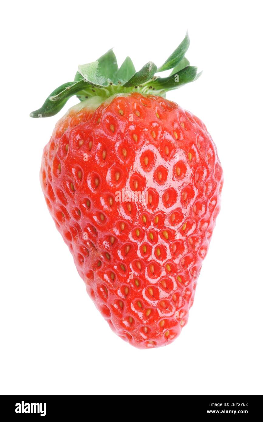 Single fresh strawberry hi-res stock photography and images - Alamy