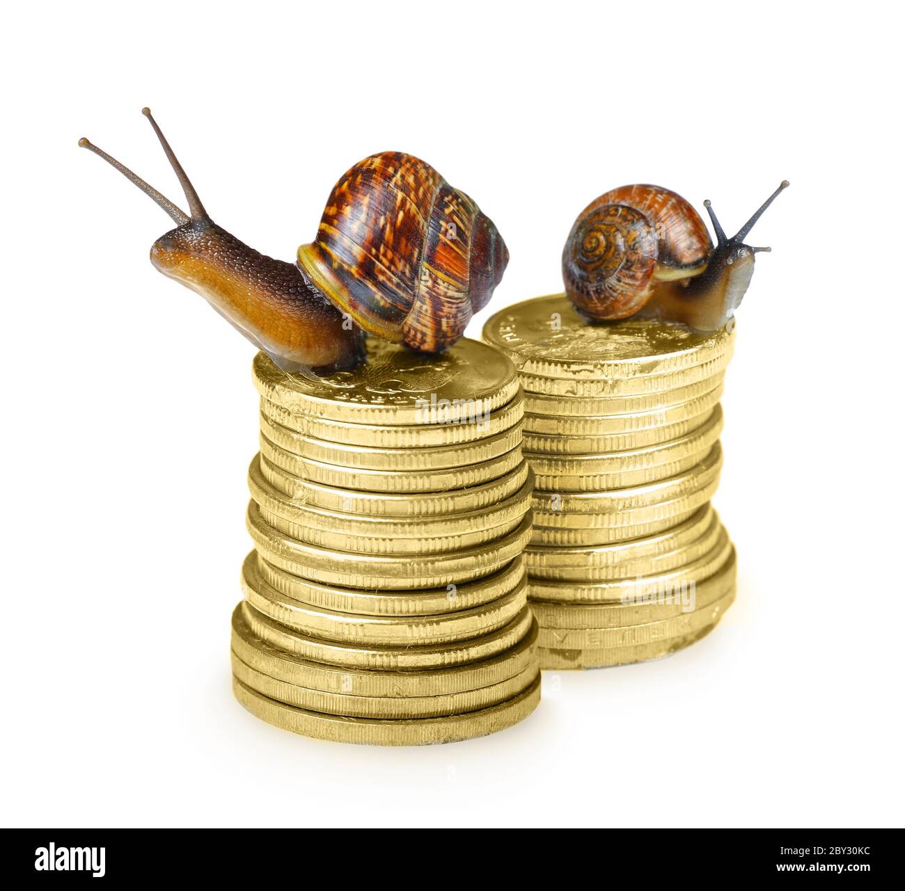 Snail on coins Stock Photo - Alamy