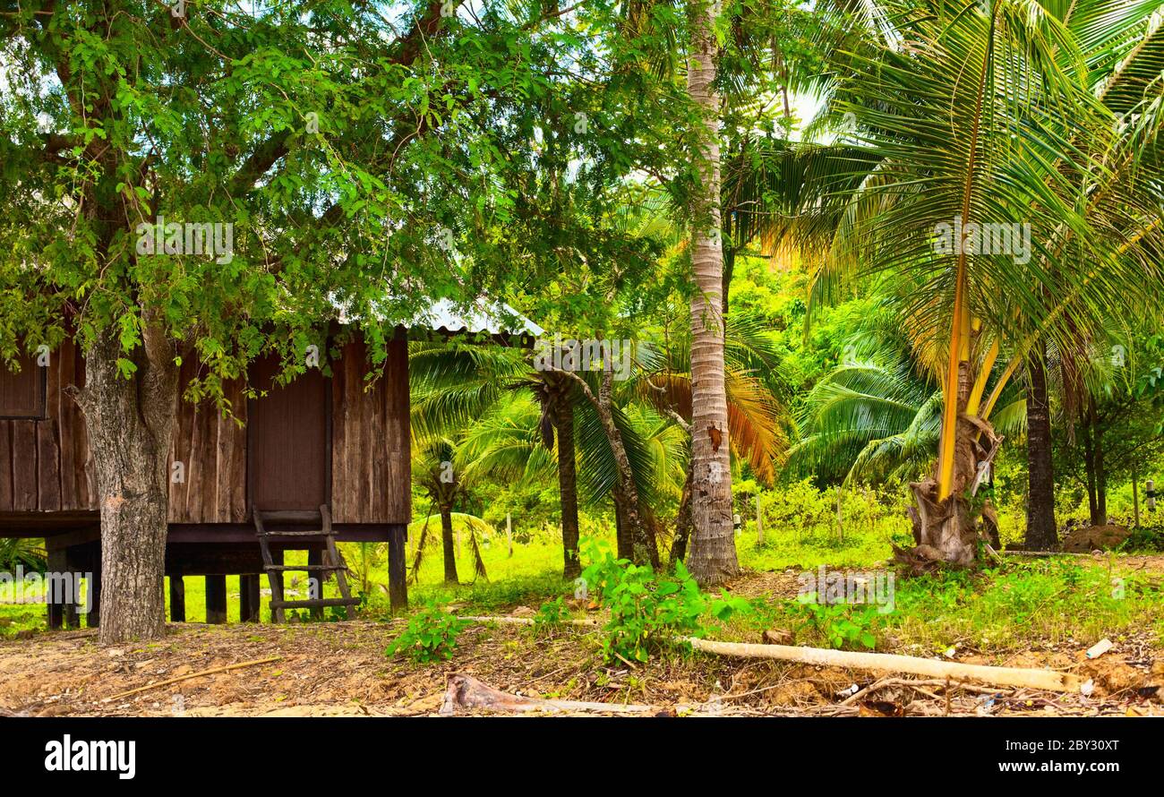 Hut in jungle hi-res stock photography and images - Alamy