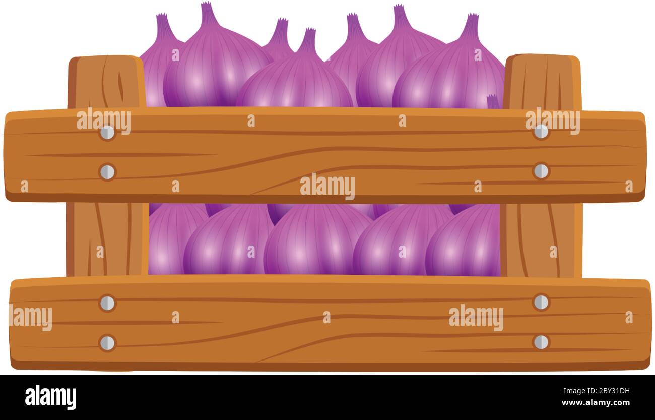 Isolated garlic inside box vector design Stock Vector Image & Art - Alamy
