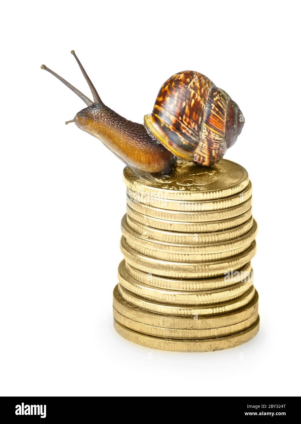 Snail on golden coins Stock Photo - Alamy