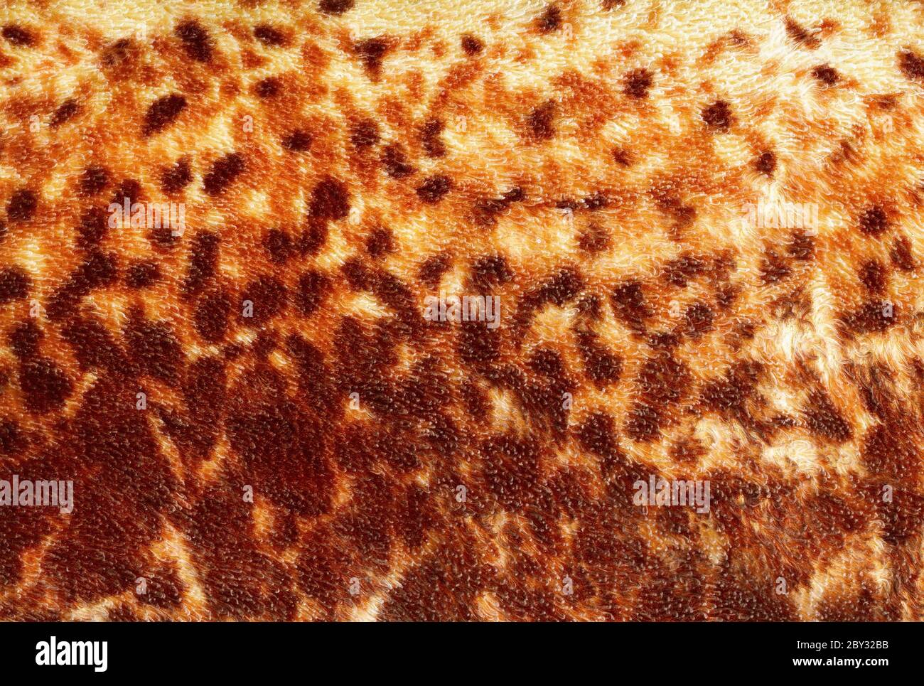 Leopard print fabric texture hi-res stock photography and images - Alamy