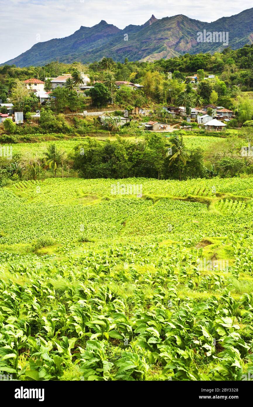 Philippines mountain village Stock Photo - Alamy