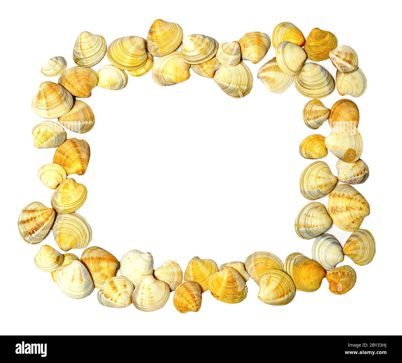 Little White Shells High Resolution Stock Photography and Images - Alamy