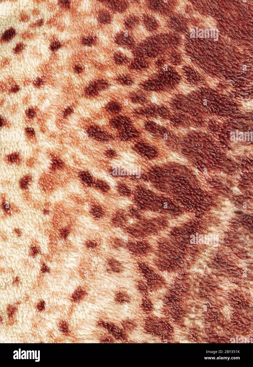 Leopard print fabric texture hi-res stock photography and images - Alamy