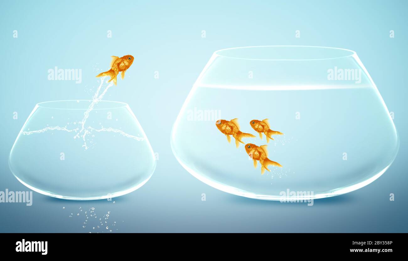 Goldfish jumping hi-res stock photography and images - Alamy