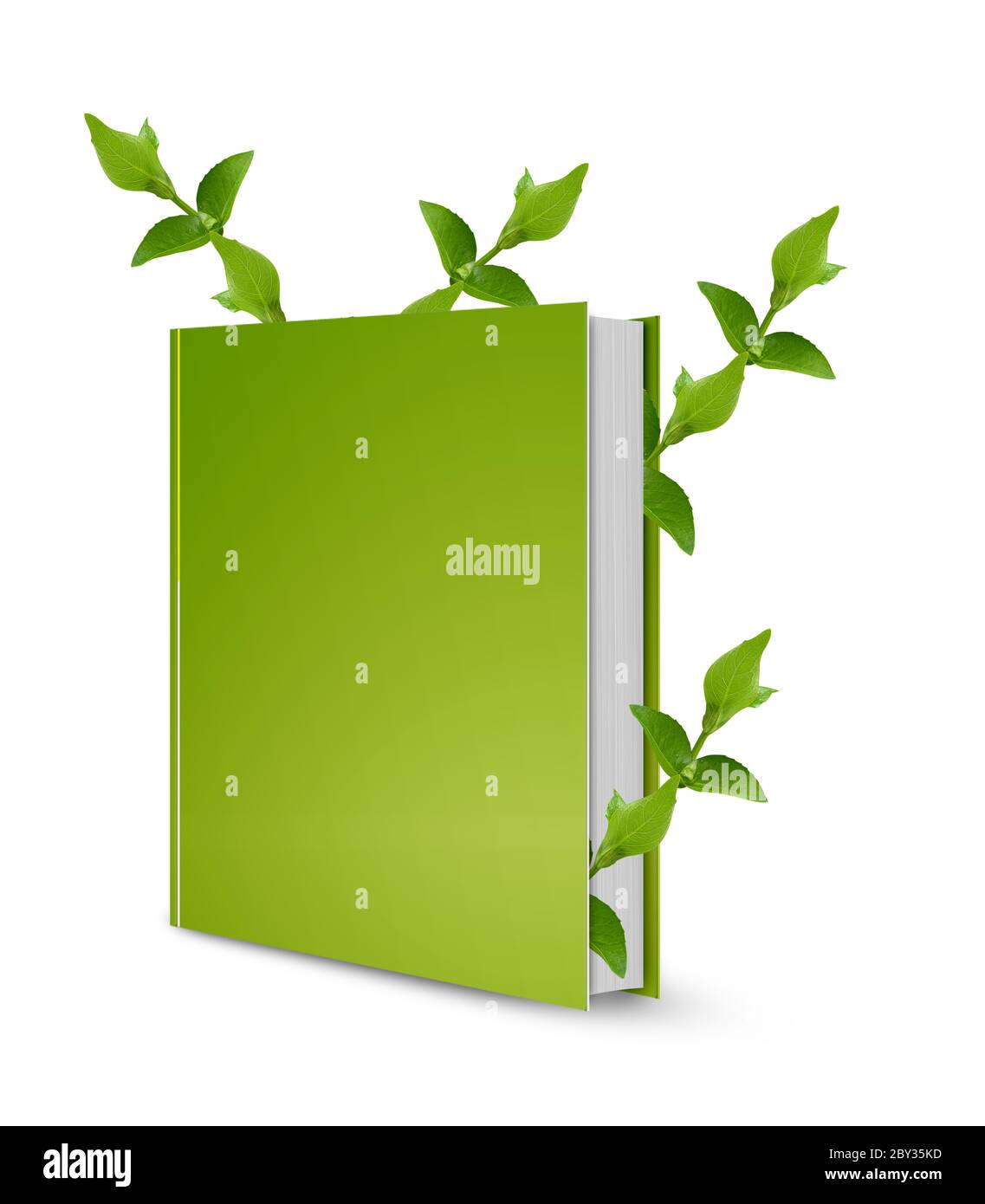Front view of book Stock Photo - Alamy
