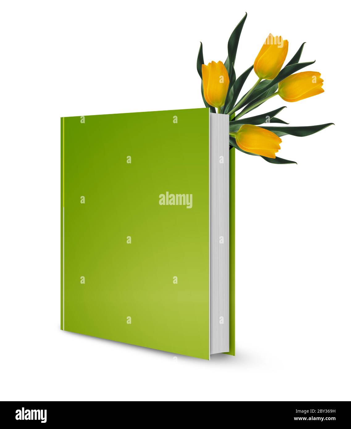 Front view of book Stock Photo - Alamy