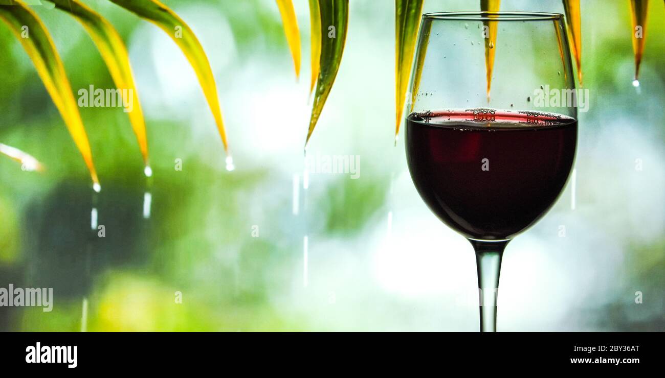 a glass of red wine reflecting green trees and branches of trees on ...