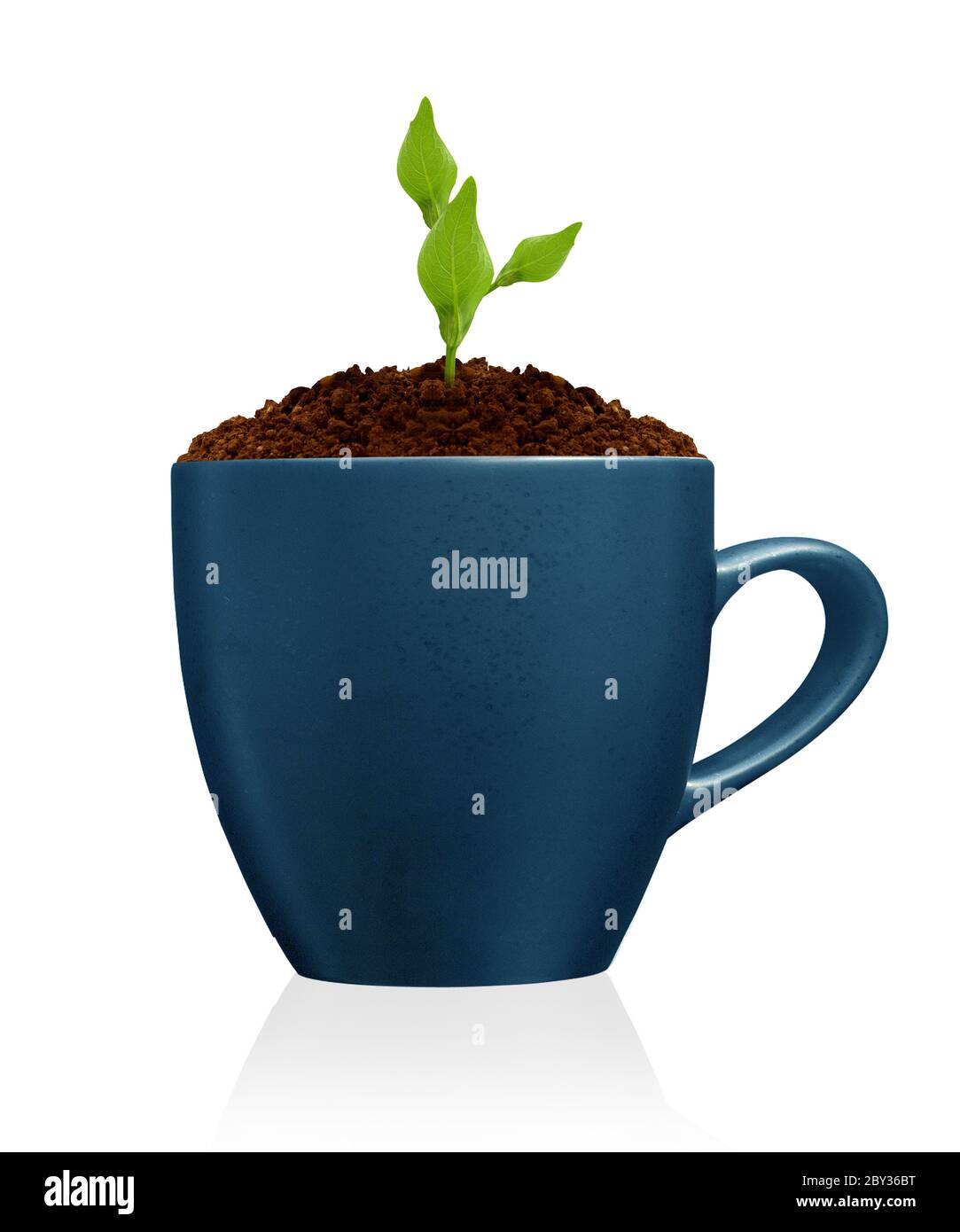 Tree in clay pot Cut Out Stock Images & Pictures - Alamy