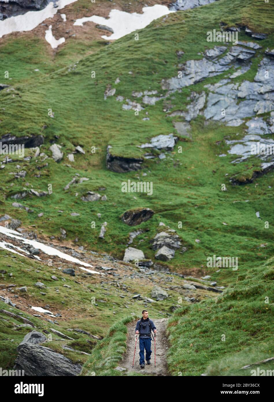 Man observing meadow in hi-res stock photography and images - Alamy