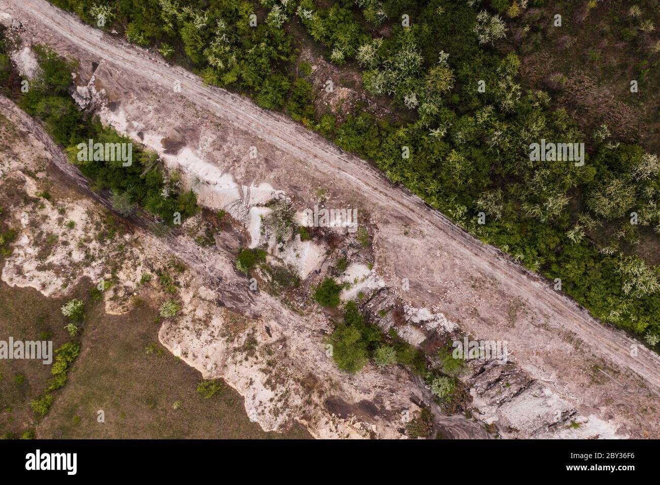 Aerial top view of rocks and tree, mountain ecosystem and healthy ...