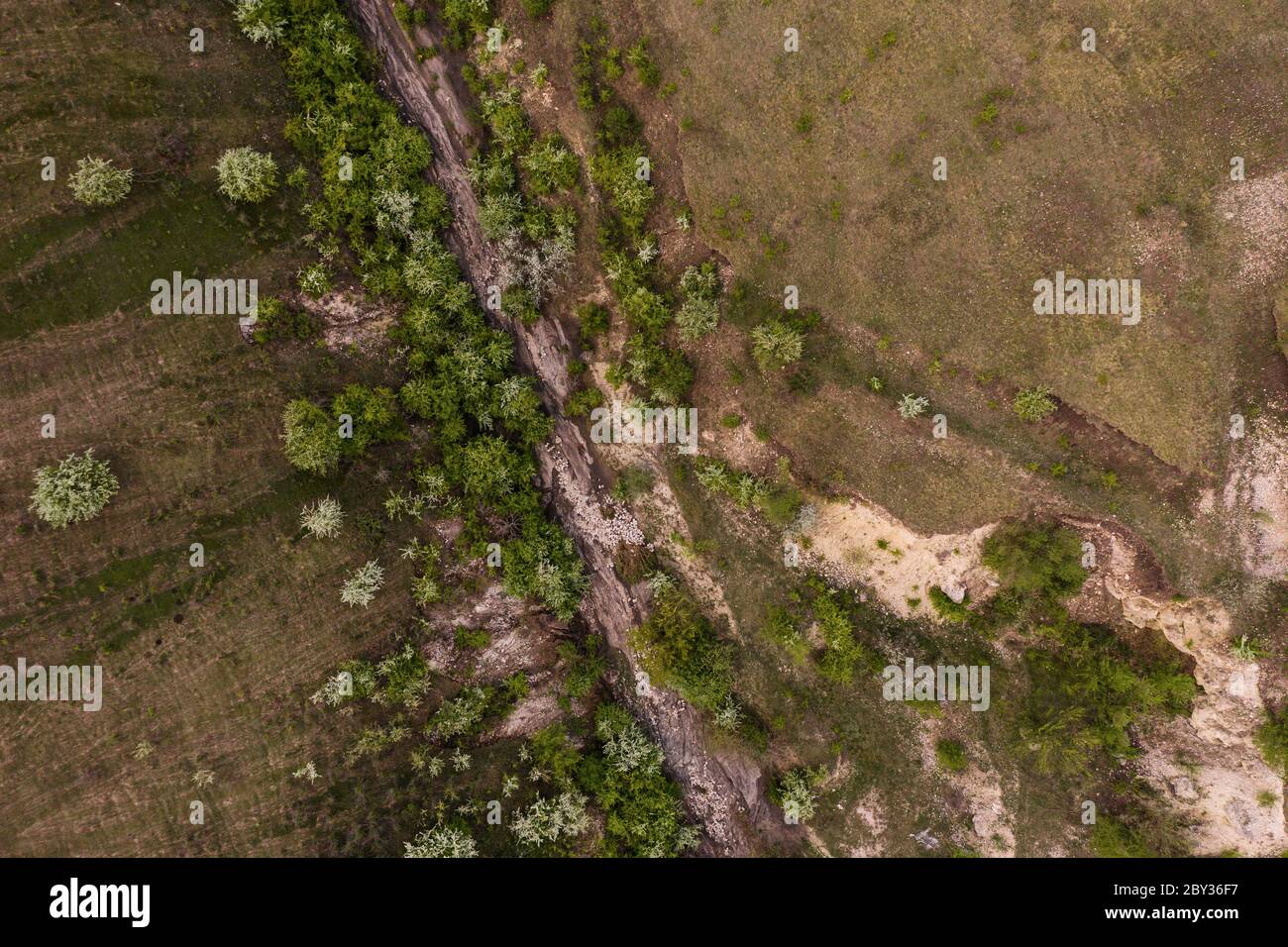 Aerial top view of rocks and tree, mountain ecosystem and healthy ...
