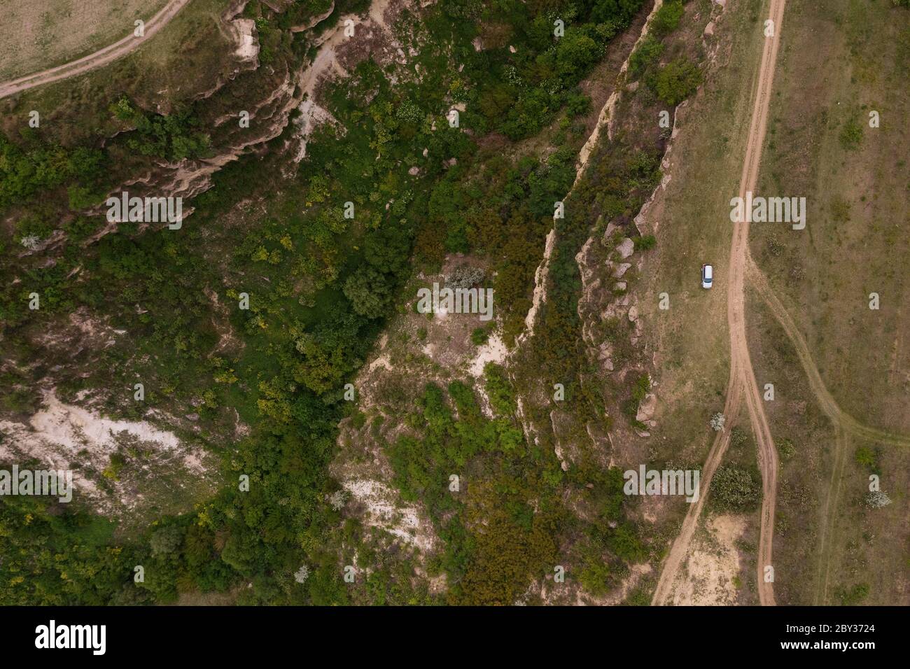 Aerial top view of rocks and tree, mountain ecosystem and healthy ...