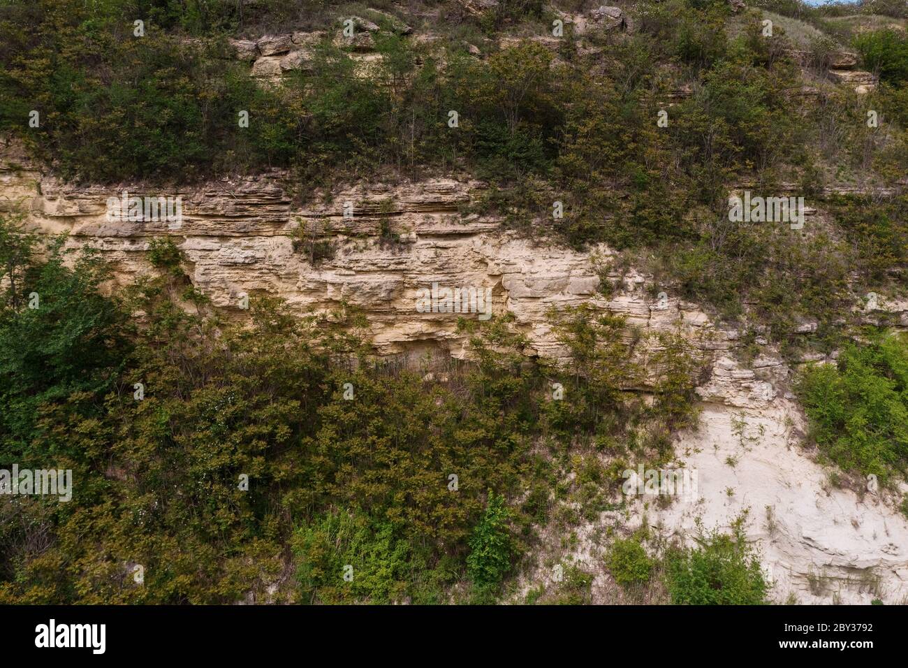 Aerial top view of rocks and tree, mountain ecosystem and healthy ...