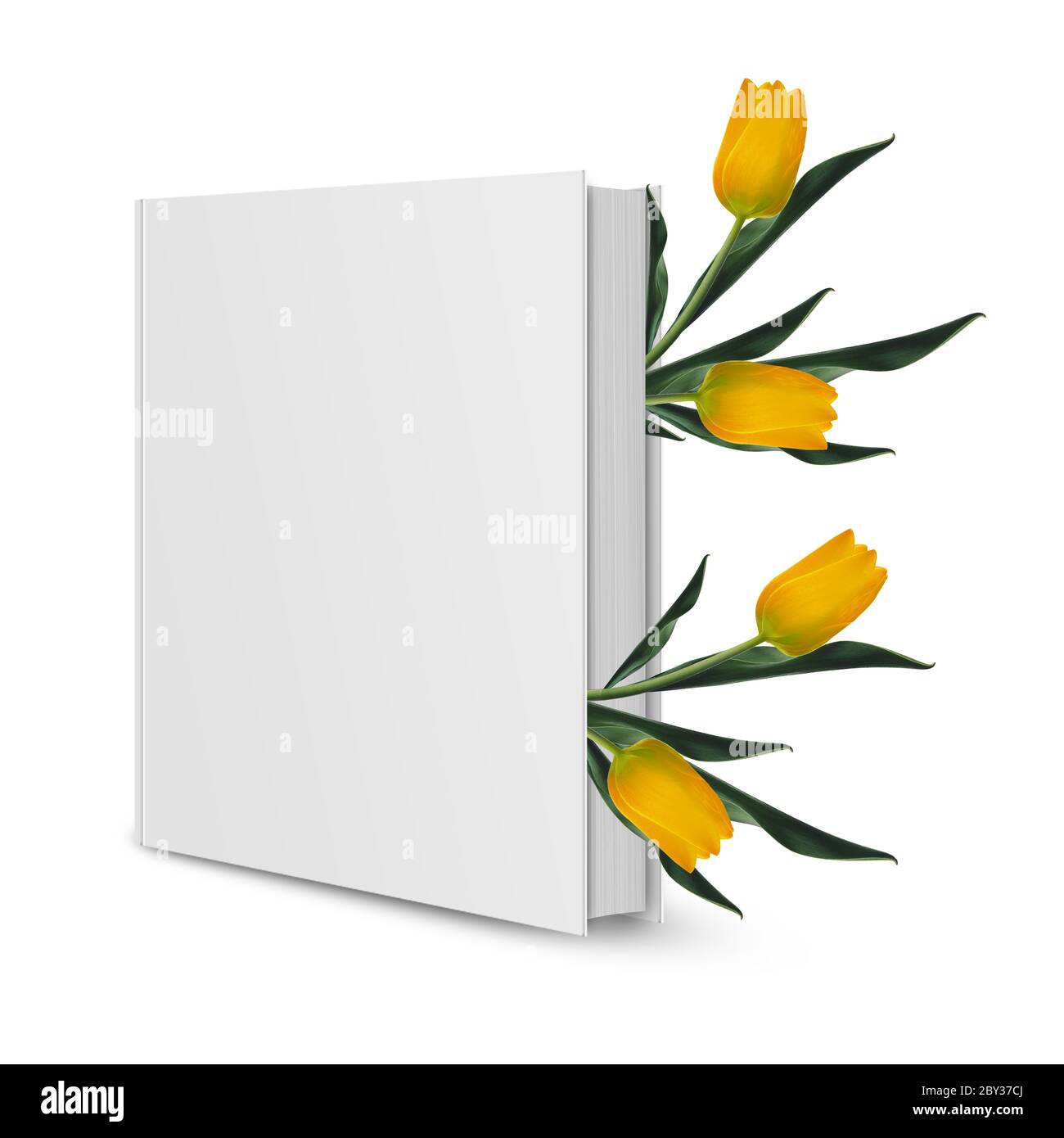 Front view of book Stock Photo - Alamy