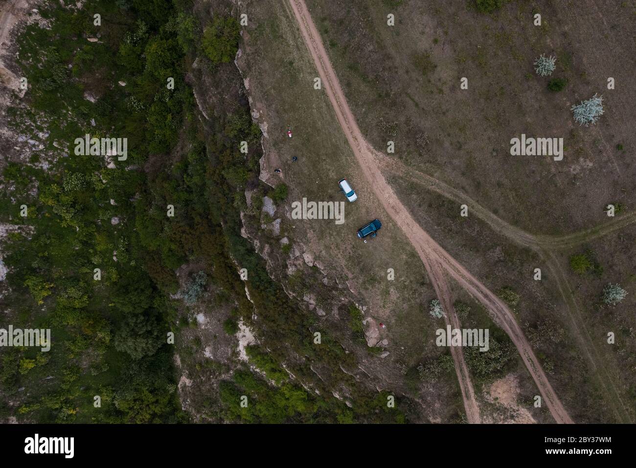Aerial top view of rocks and tree, mountain ecosystem and healthy ...