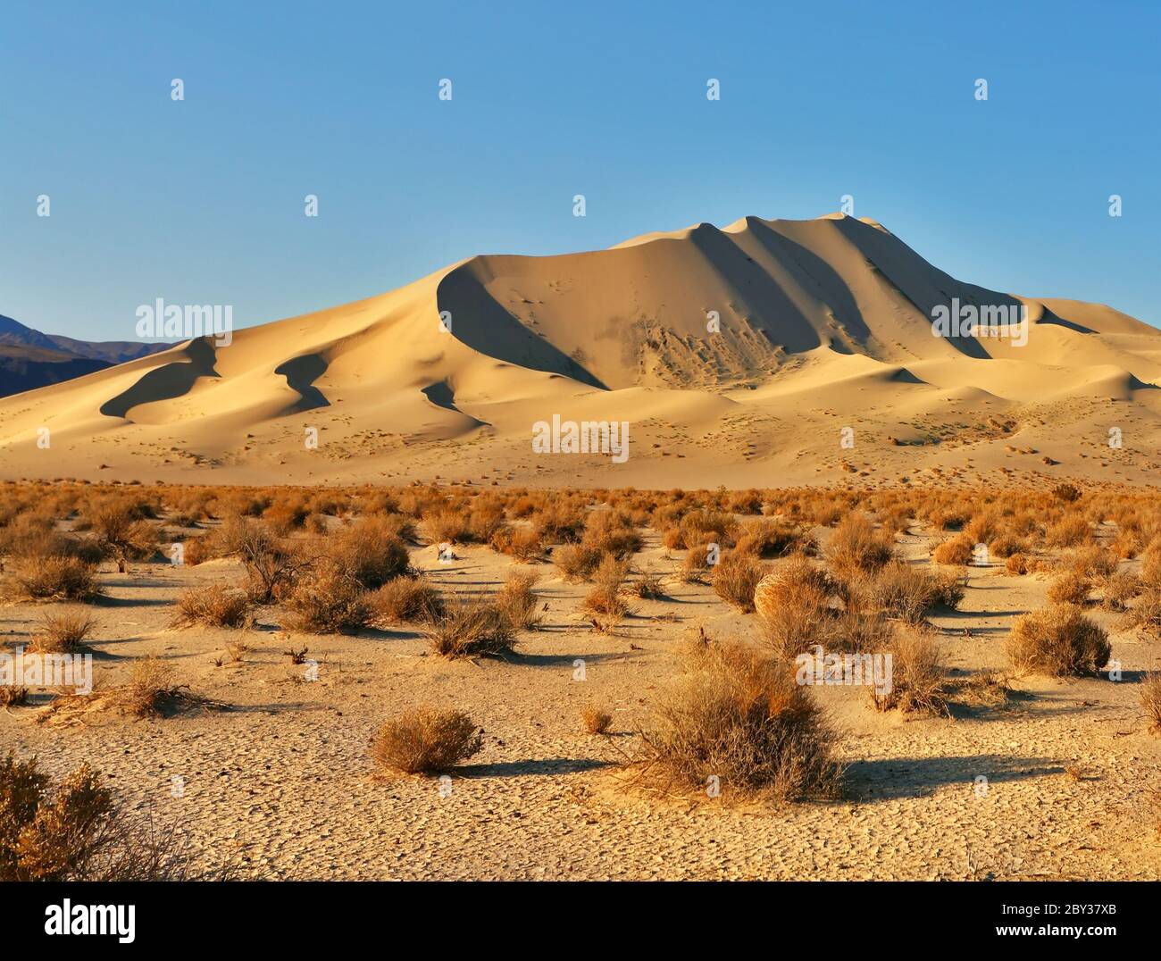 Magnificent sandy dune in desert Stock Photo - Alamy