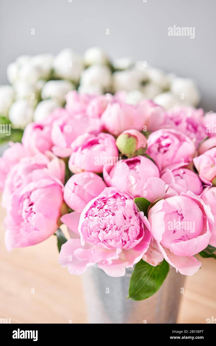Pink Angel Cheeks peonies in a metal vase. Beautiful peony flower for ...