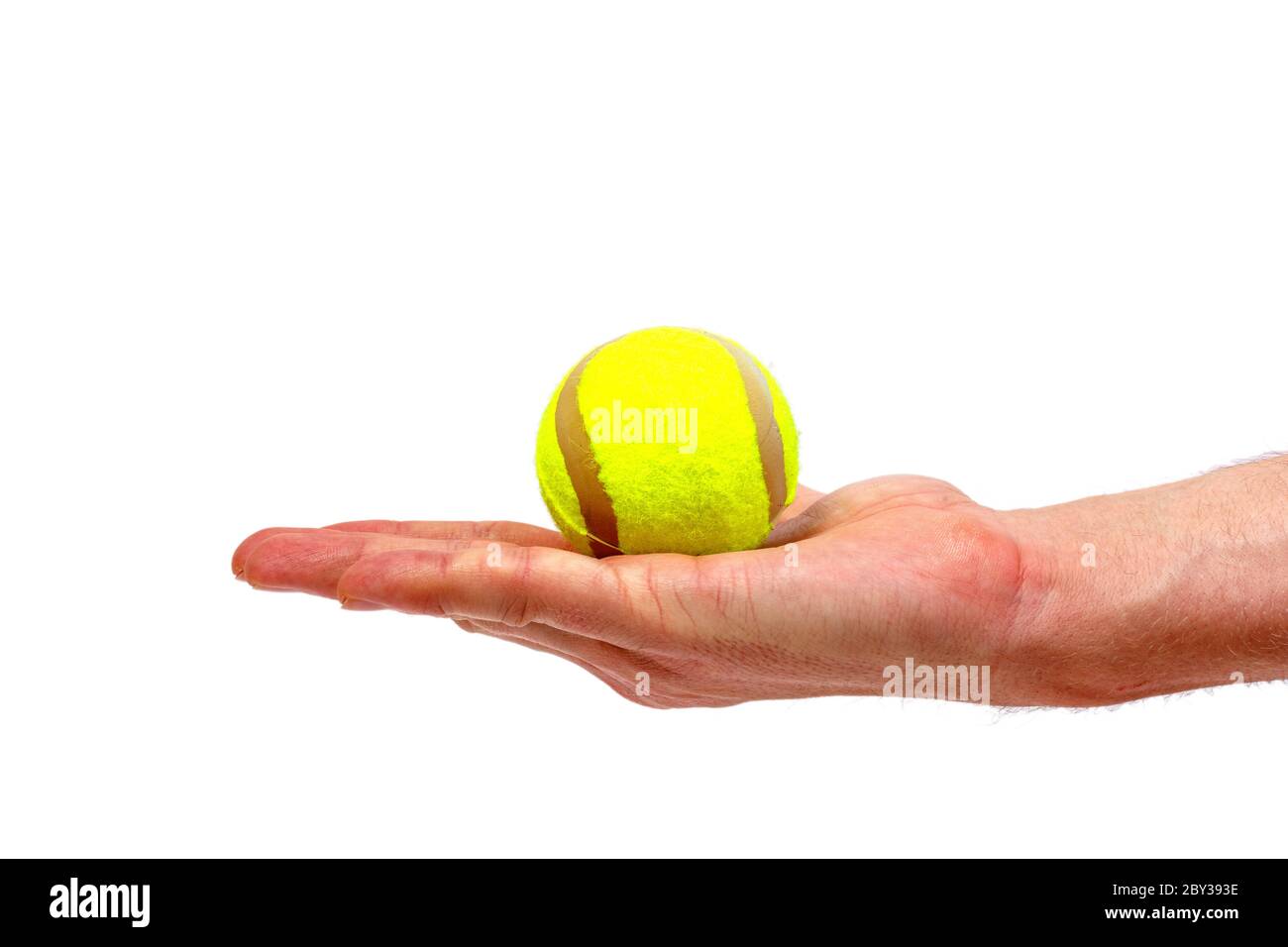 Male hand holding tennis ball isolated on white background ...
