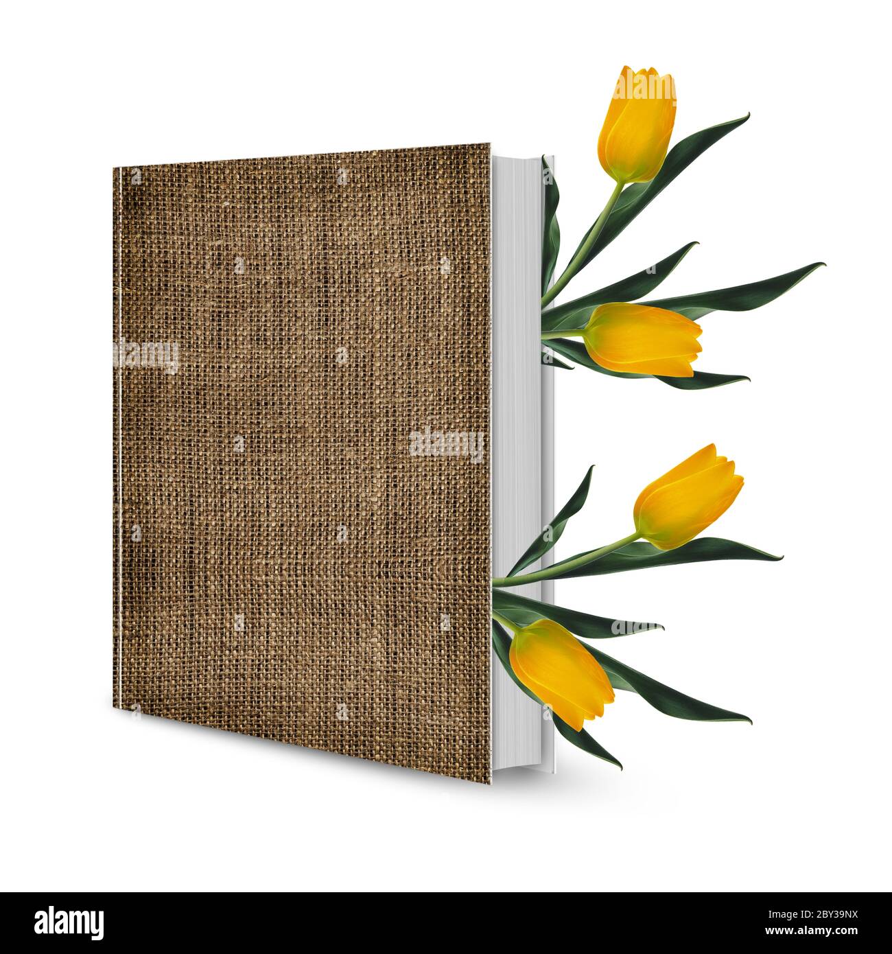 Front view of book Stock Photo - Alamy
