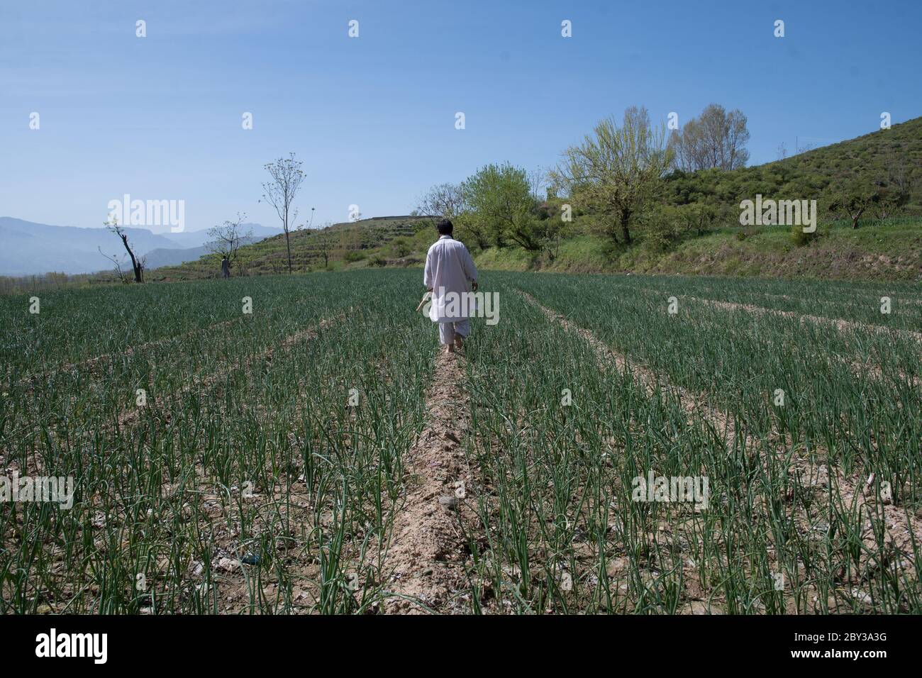 Pakistan children hi-res stock photography and images - Alamy