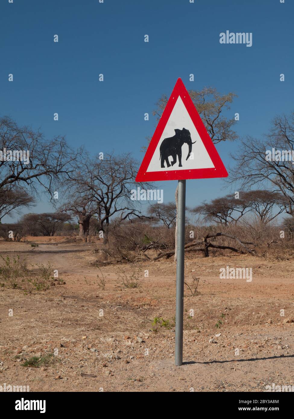 Beware of elephant sign hi-res stock photography and images - Alamy