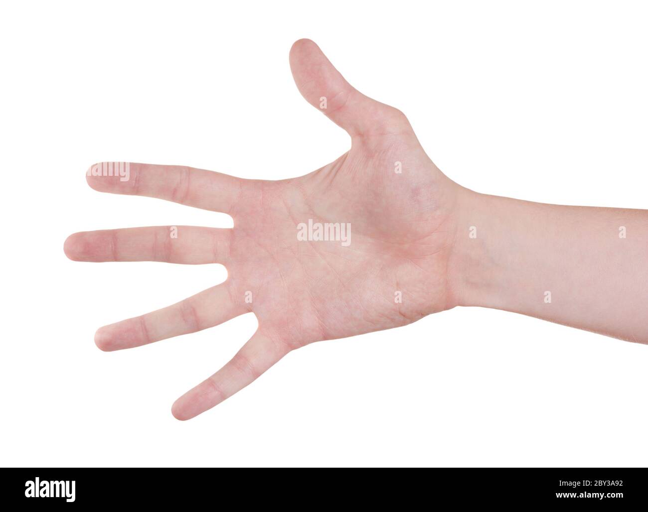 Opened hand gesture isolated on white background Stock Photo - Alamy