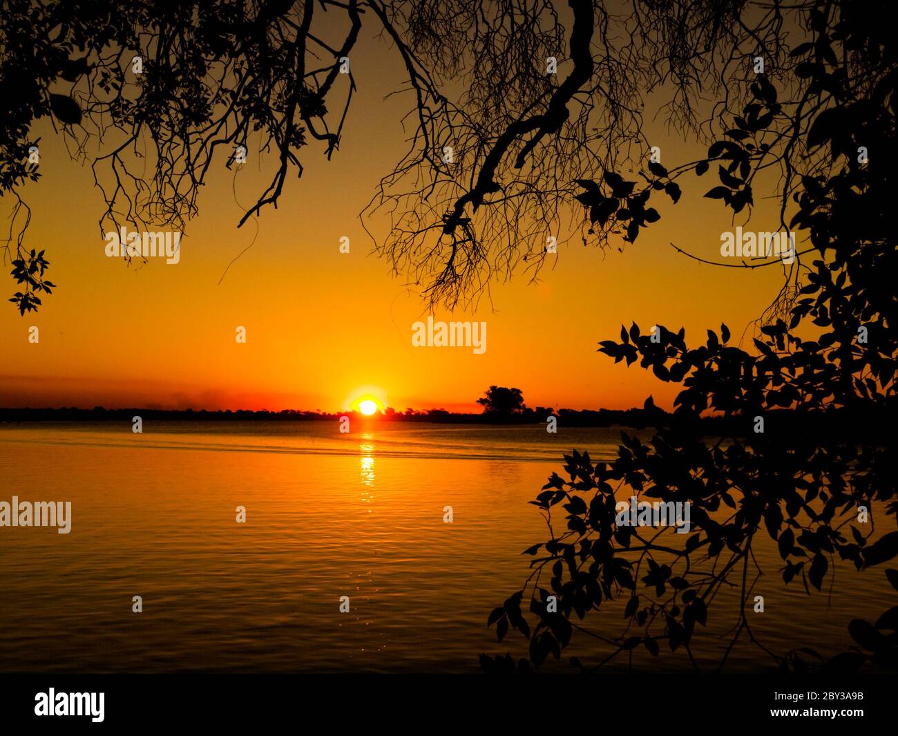 Sunset chobe natural park hi-res stock photography and images - Alamy