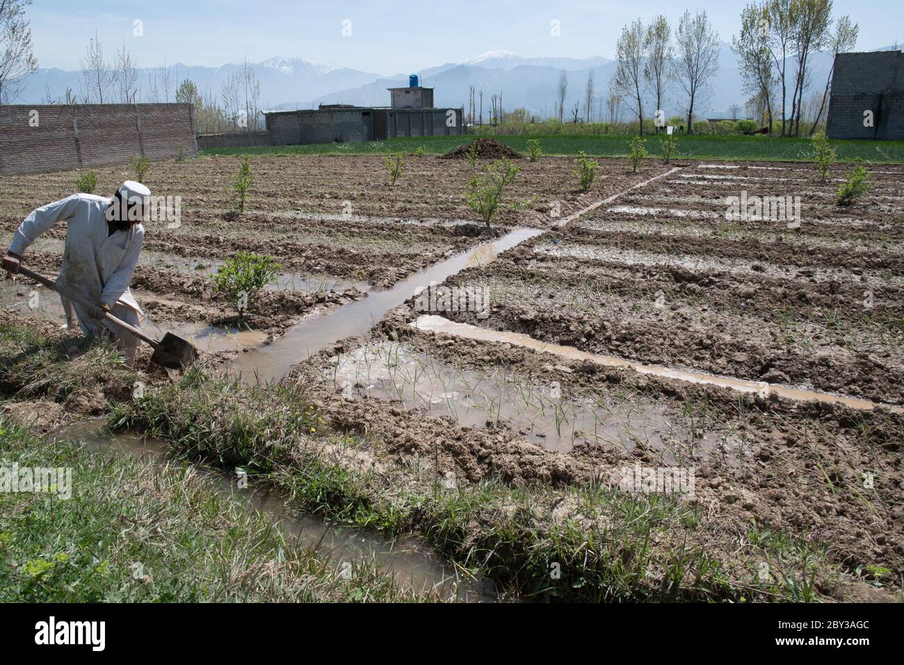 Pakistan children hi-res stock photography and images - Alamy