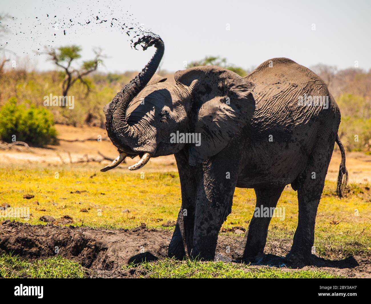 Mud splash hi-res stock photography and images - Alamy