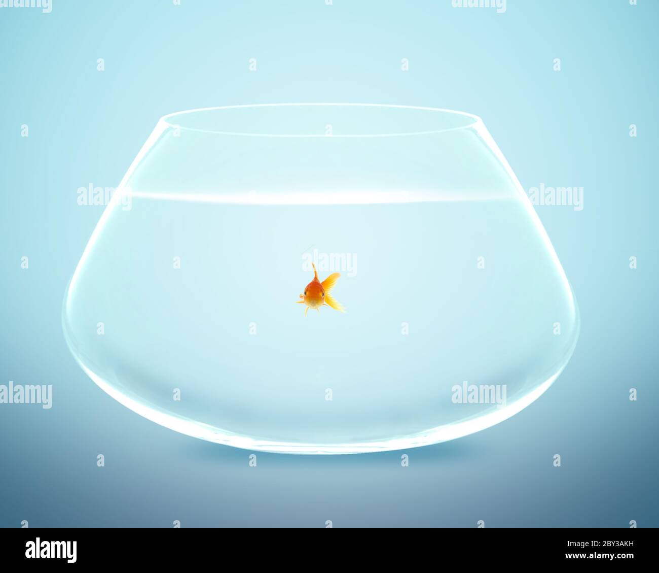 Flying goldfish hi-res stock photography and images - Alamy