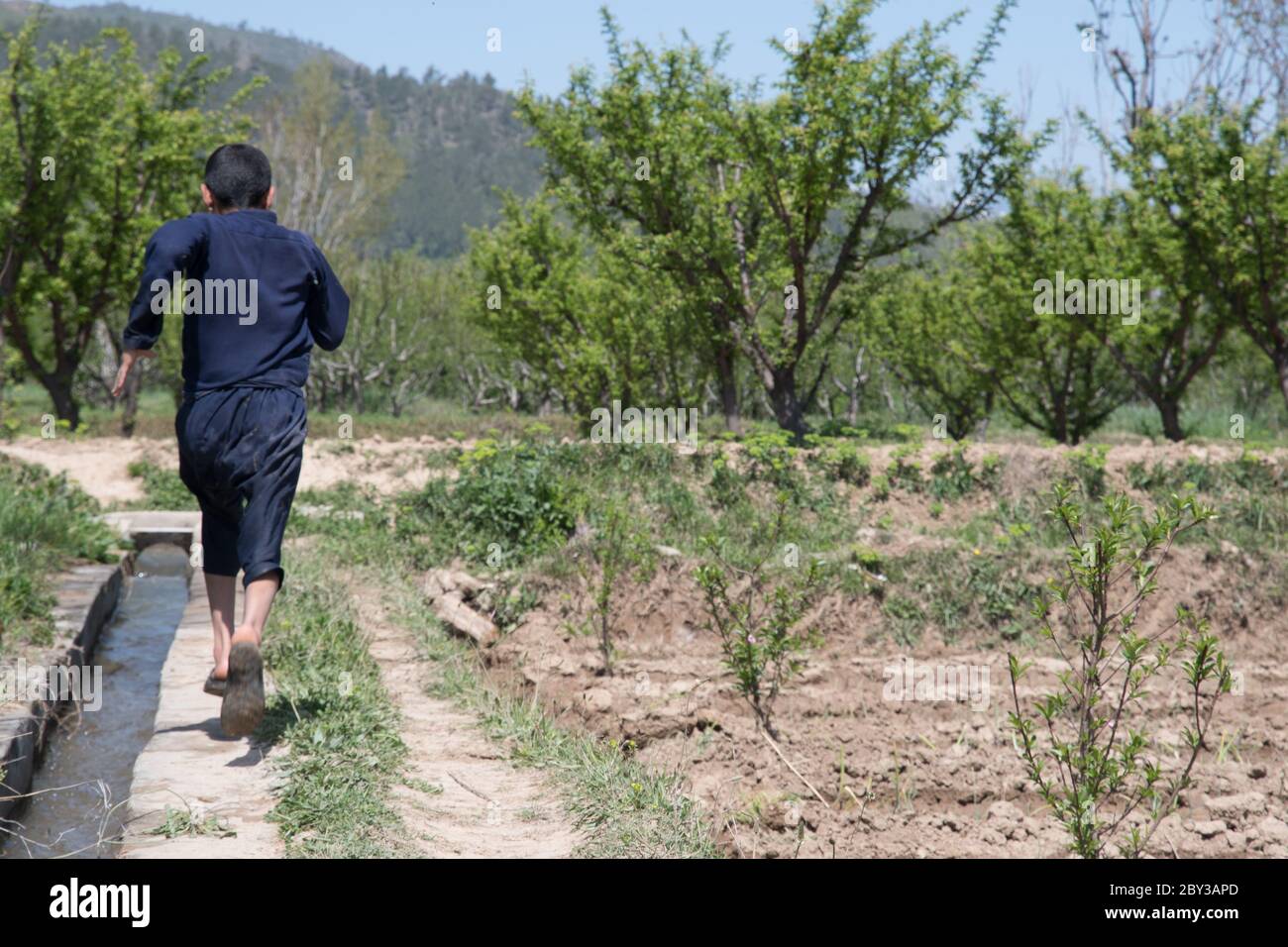 Farmer working in a field in Swat Valley, Pakistan,. Children running ...