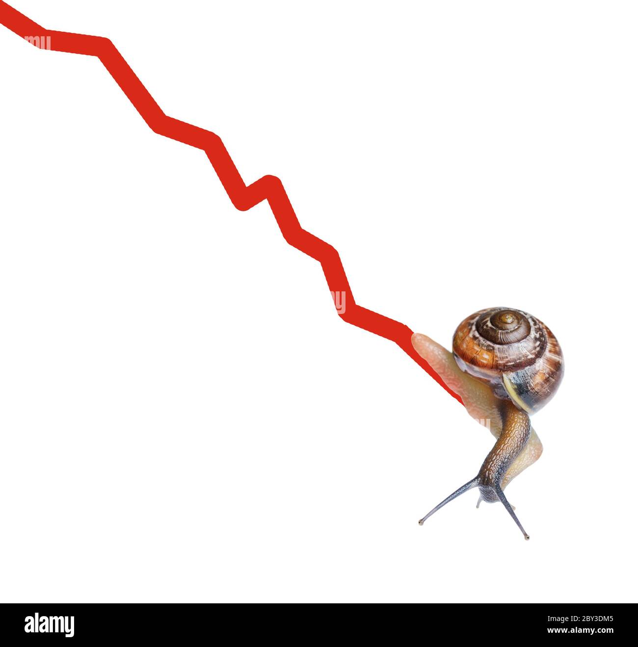 Slow growth chart hi-res stock photography and images - Alamy