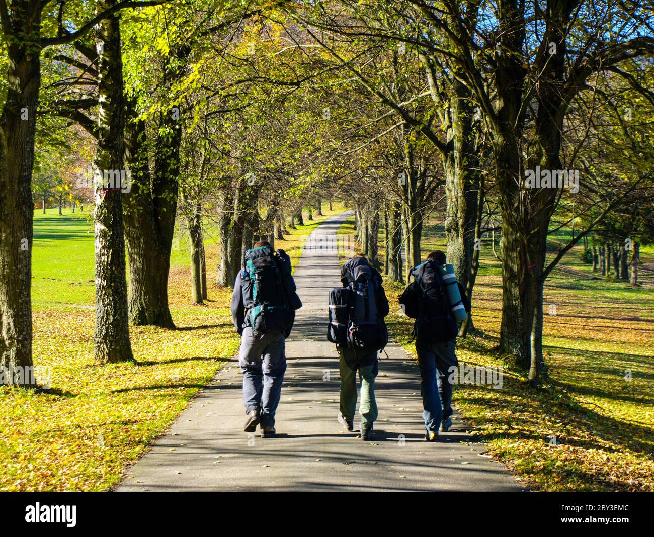 Three backpackers on the road Stock Photo - Alamy